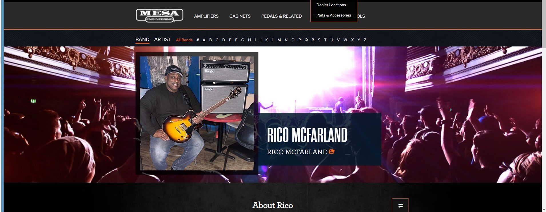 About - Chicago Blues All-Stars